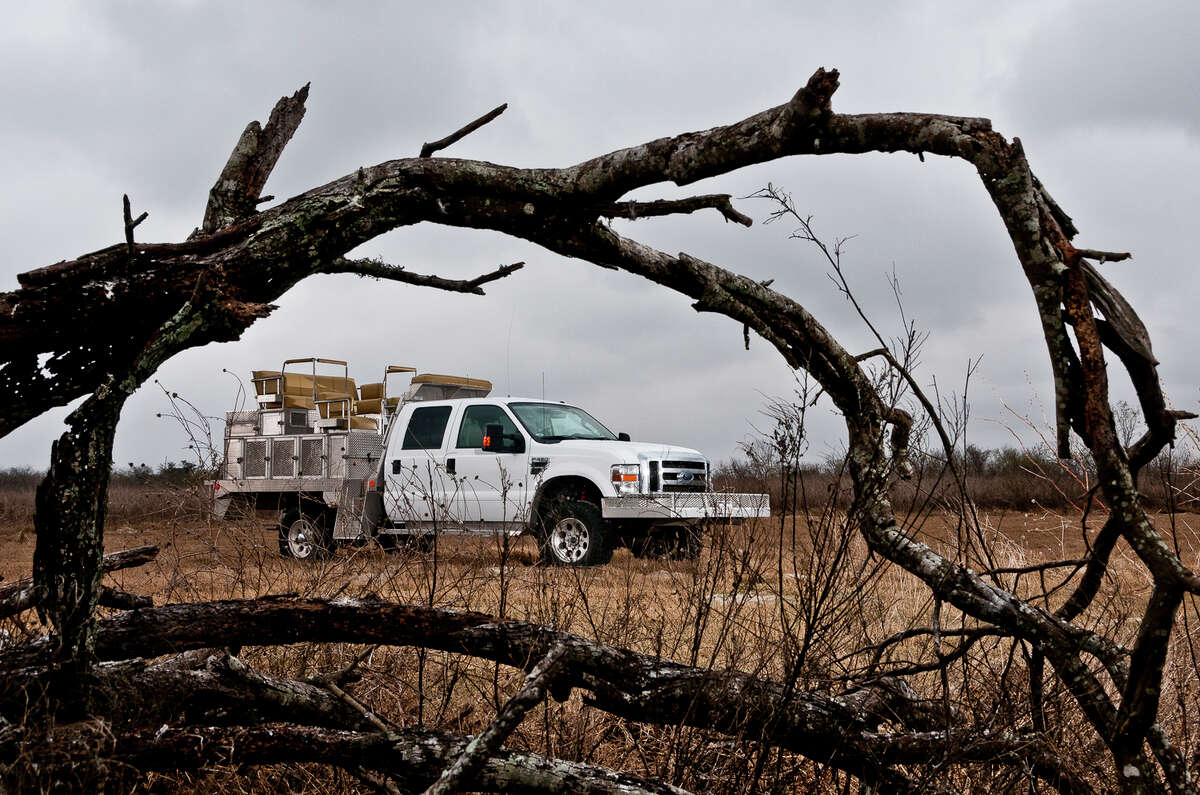 Everything is bigger in Texas, including bird-hunting trucks