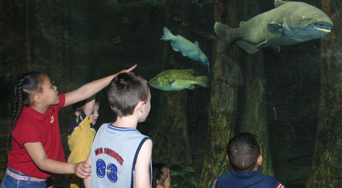 Houston-area spring breakers have another low-cost option: Fishing