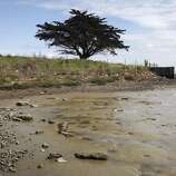 Hazardous Yosemite Slough in S.F. finally getting cleaned up - SFGate