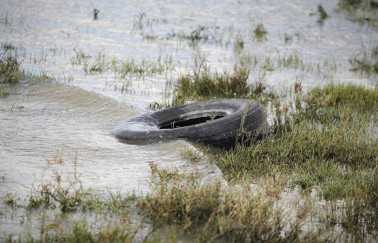 Hazardous Yosemite Slough in S.F. finally getting cleaned up