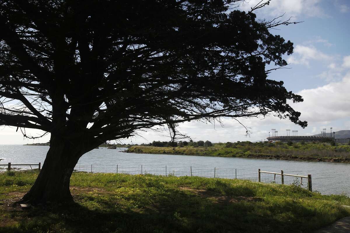 Hazardous Yosemite Slough in S.F. finally getting cleaned up