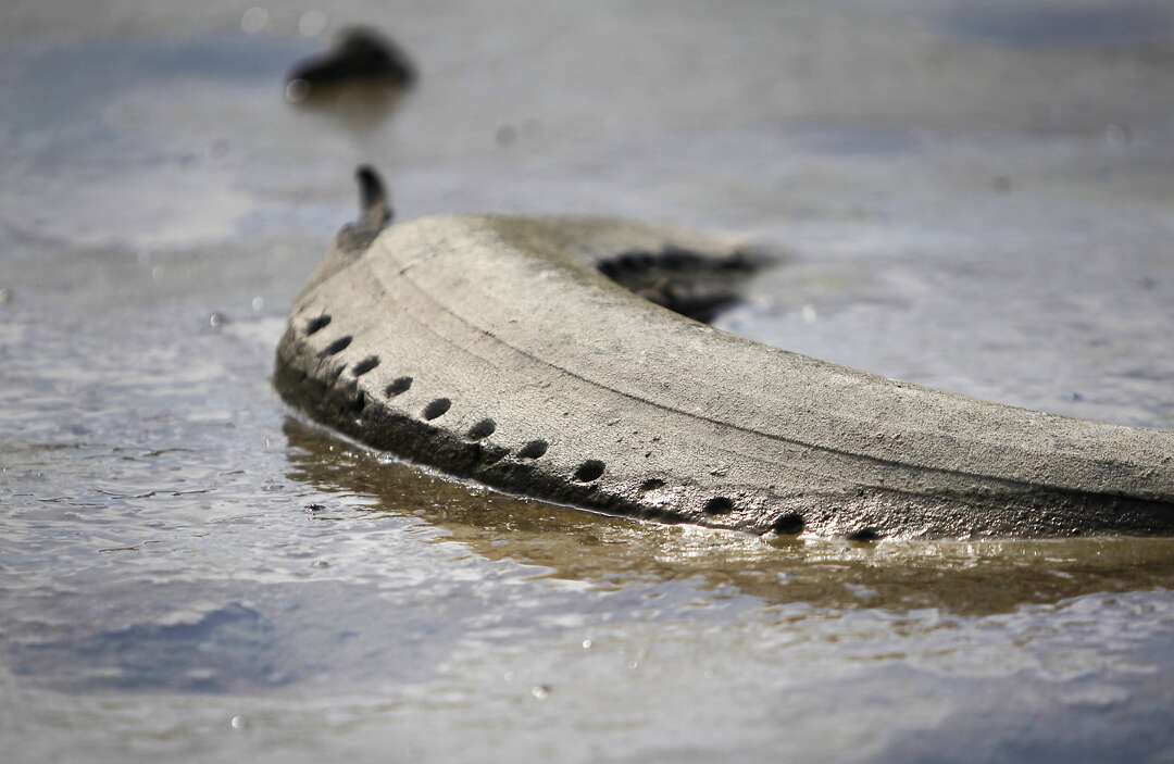 Hazardous Yosemite Slough in S.F. finally getting cleaned up