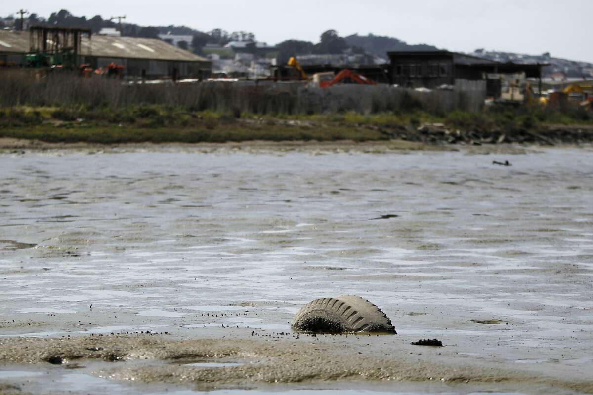 Hazardous Yosemite Slough in S.F. finally getting cleaned up