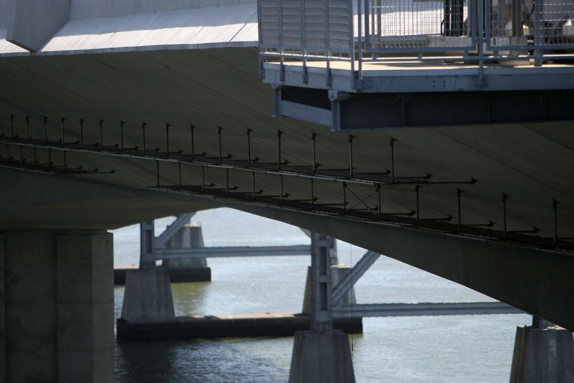 Caltrans scrambles to lure cormorants to new Bay Bridge span