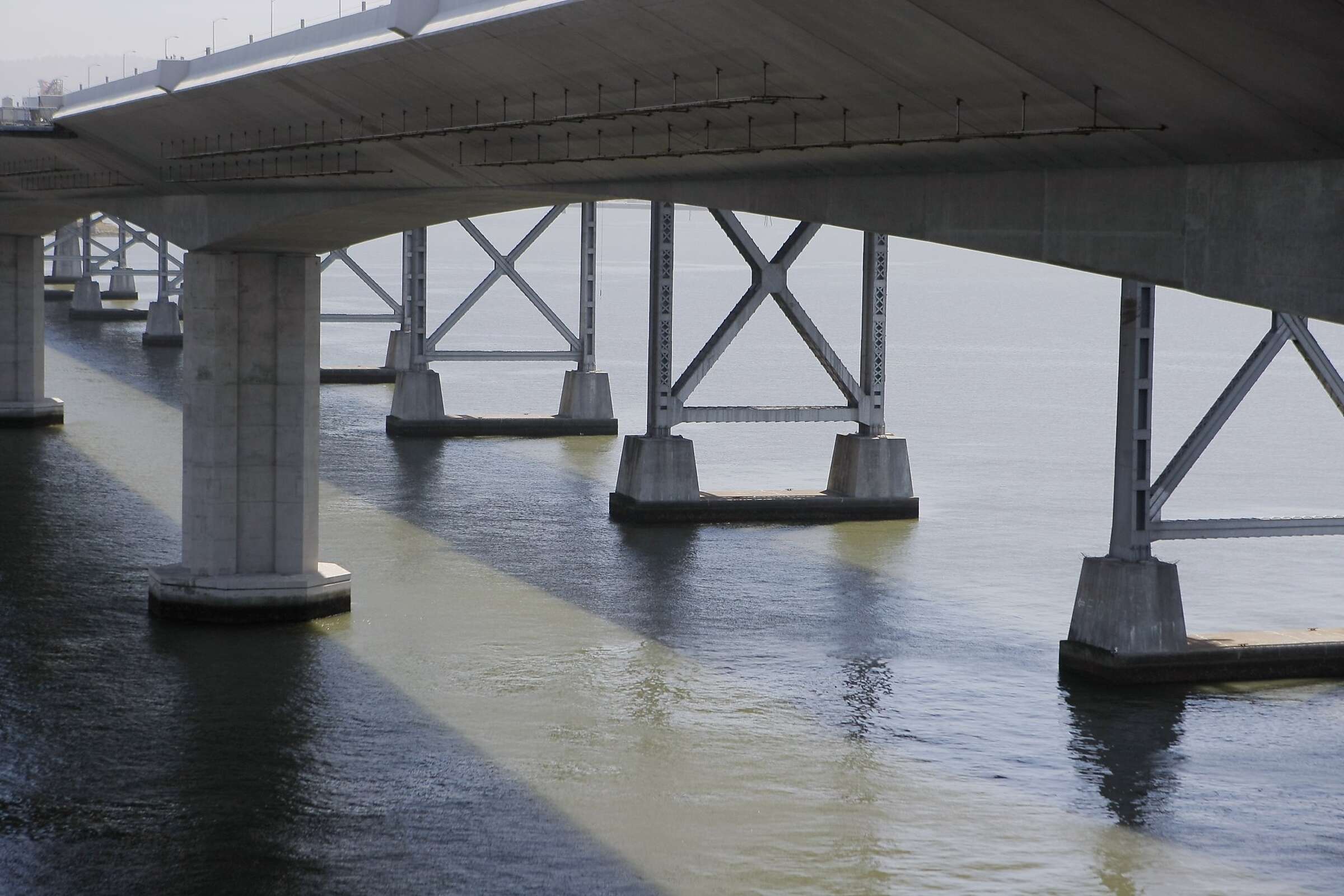 Caltrans scrambles to lure cormorants to new Bay Bridge span