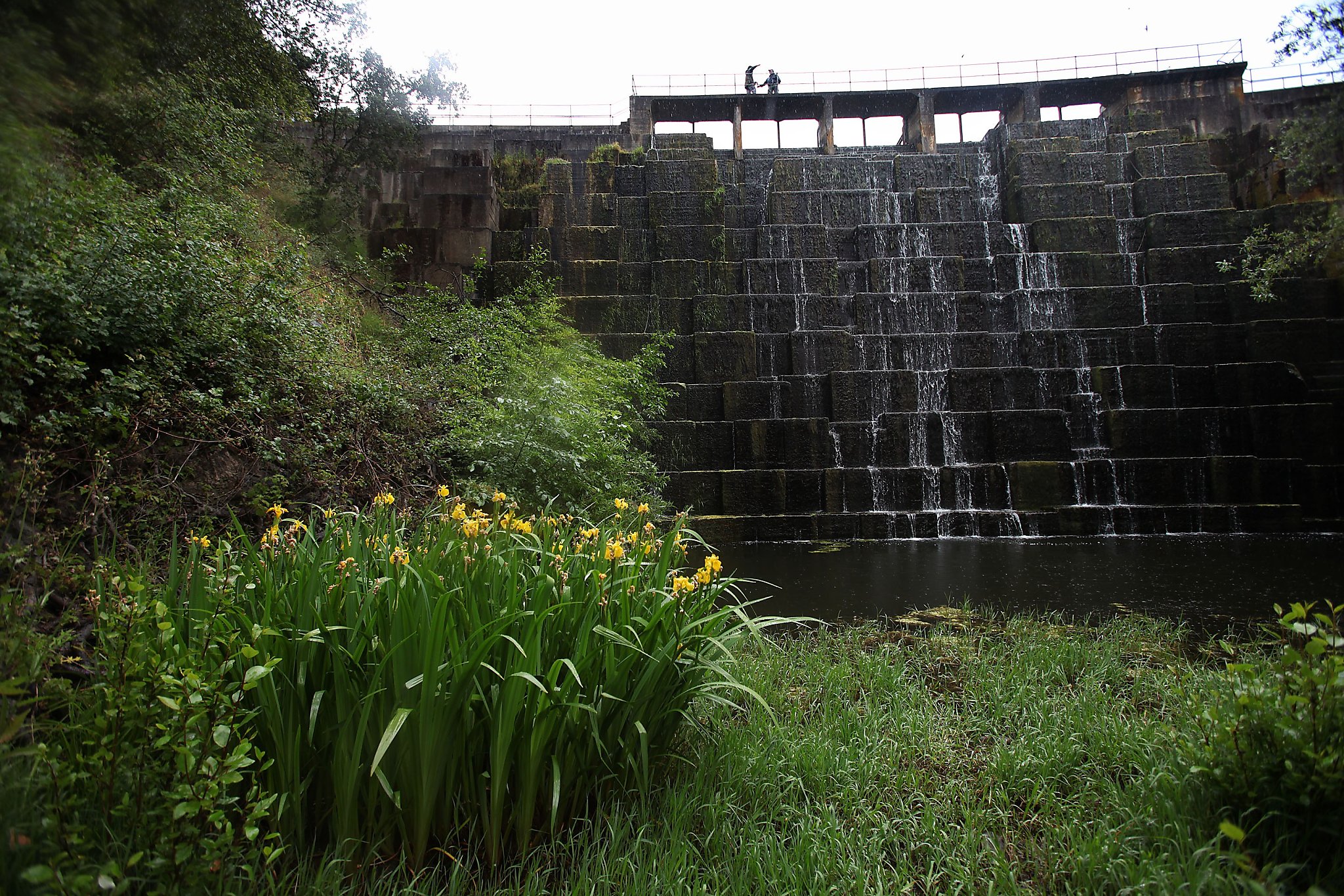 Stanford dam blamed for diverting water from creek