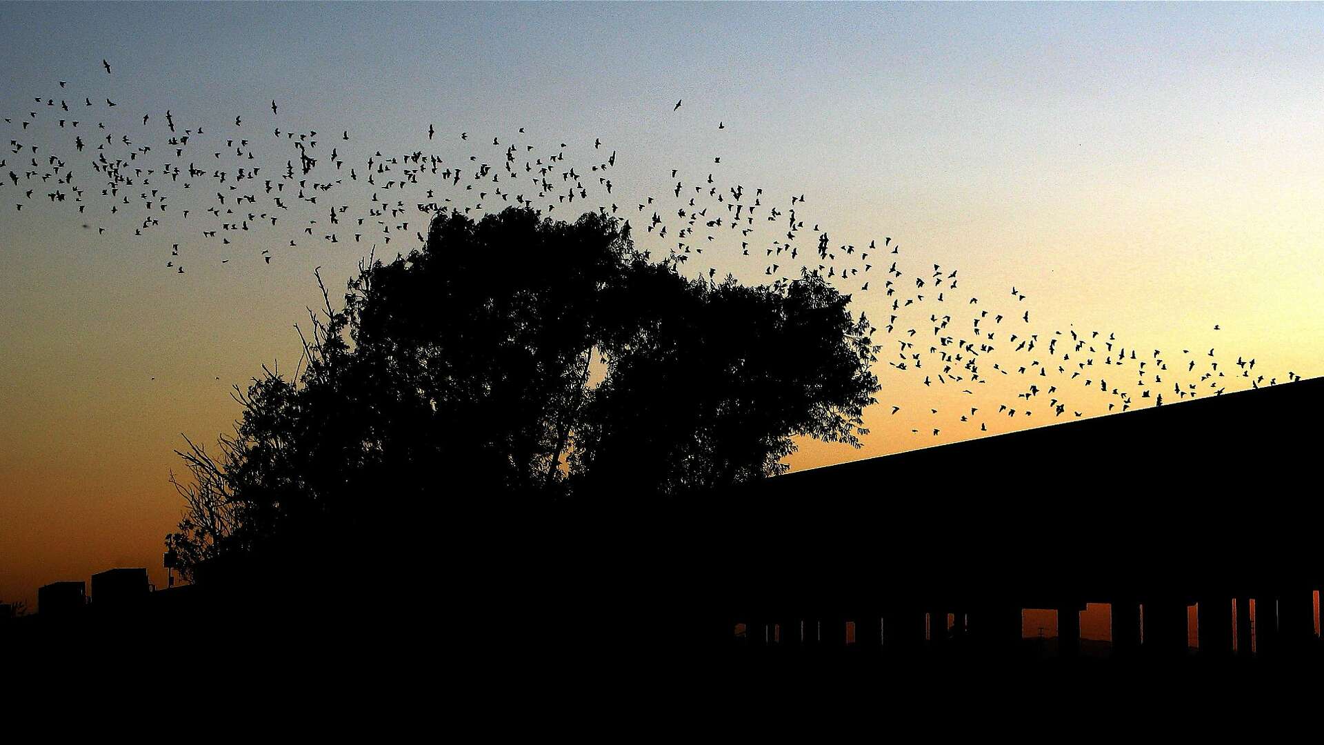 5 places in California to go a little batty