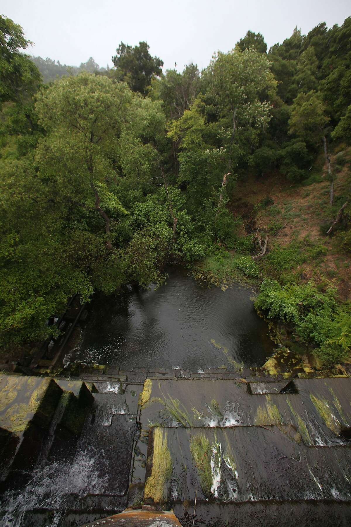 Stanford dam blamed for diverting water from creek