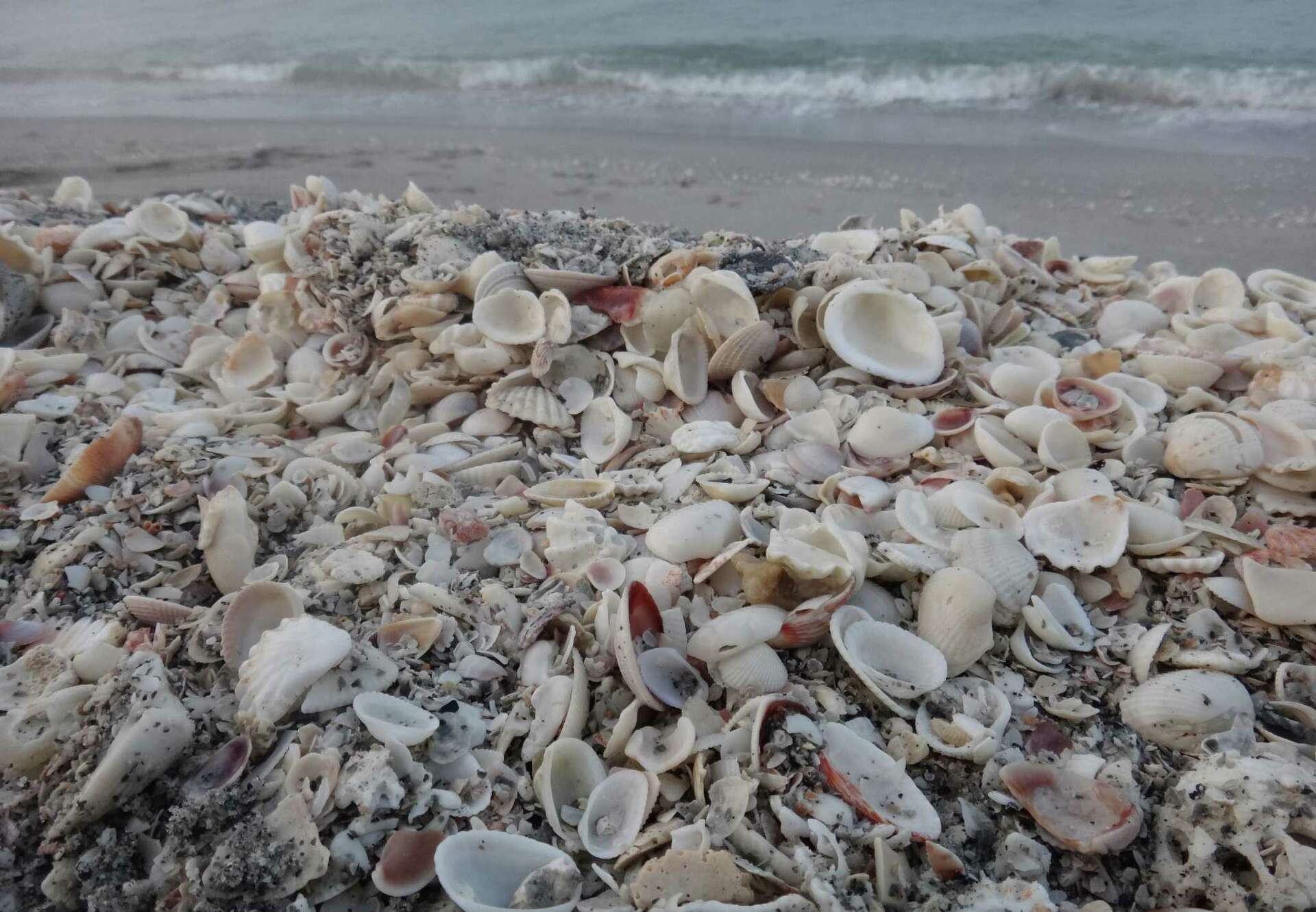 A Tale of Two Islands: Marco Island and Sanibel Island