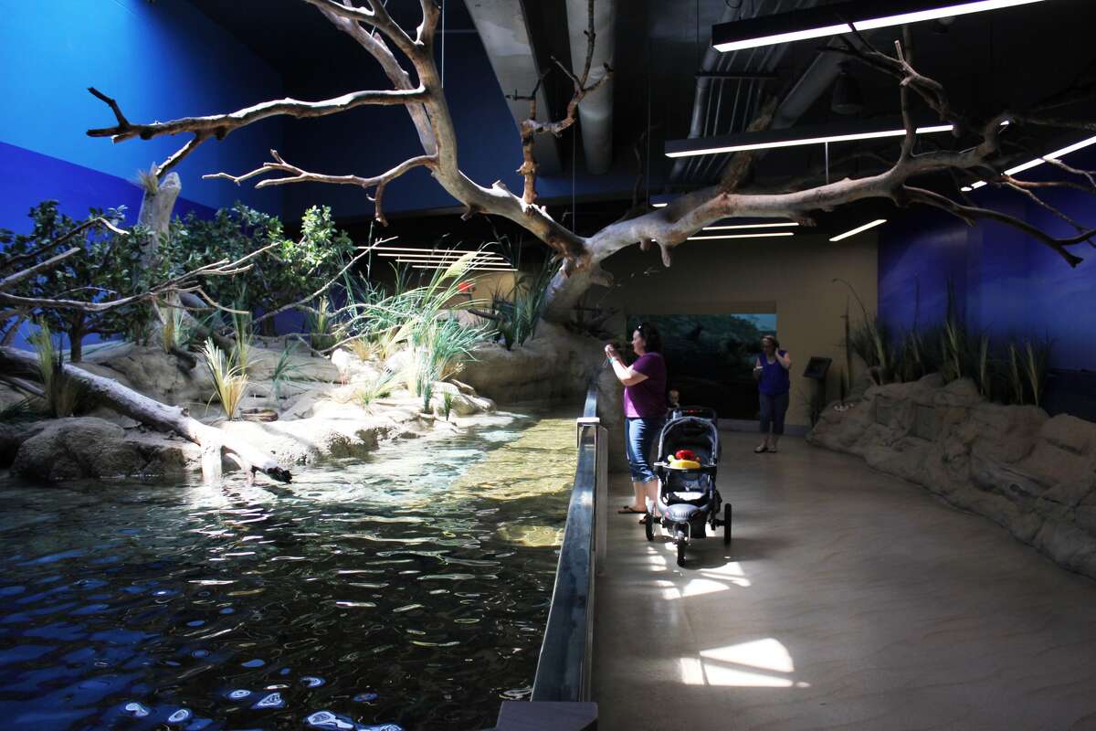 Texas State Aquarium to get $50 million makeover