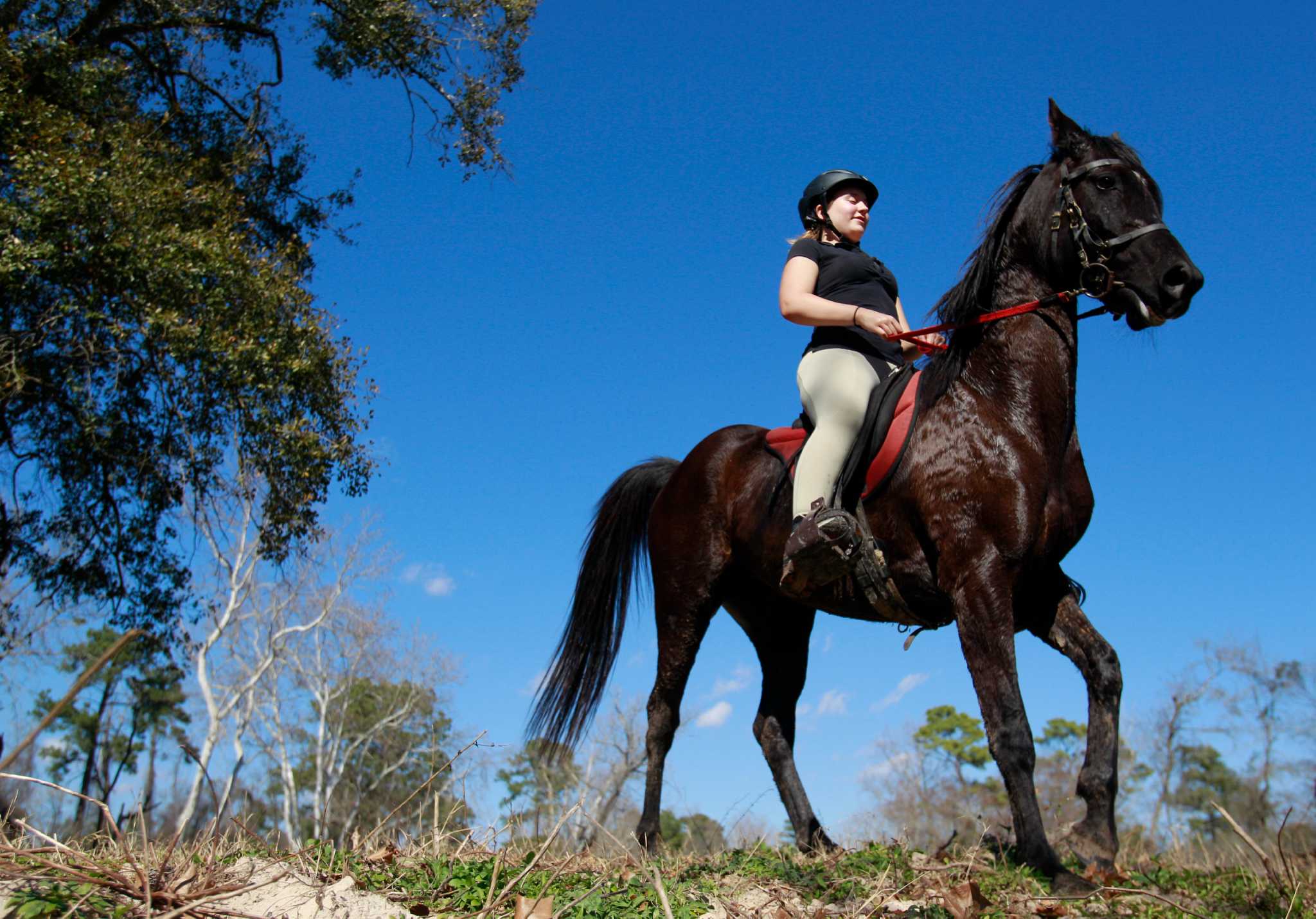 Fierce young horsewoman rides to win