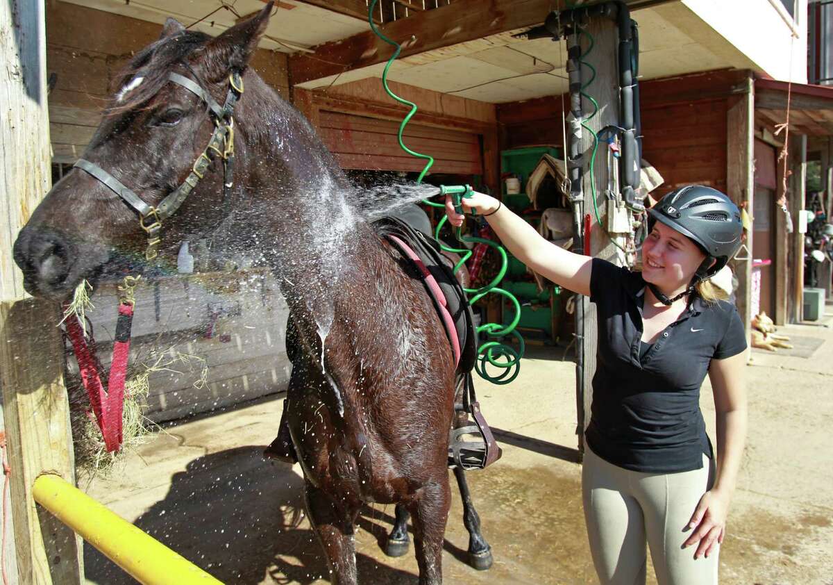 5 of the best places to go horseback riding near Houston