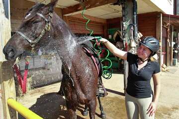 5 of the best places to go horseback riding near Houston