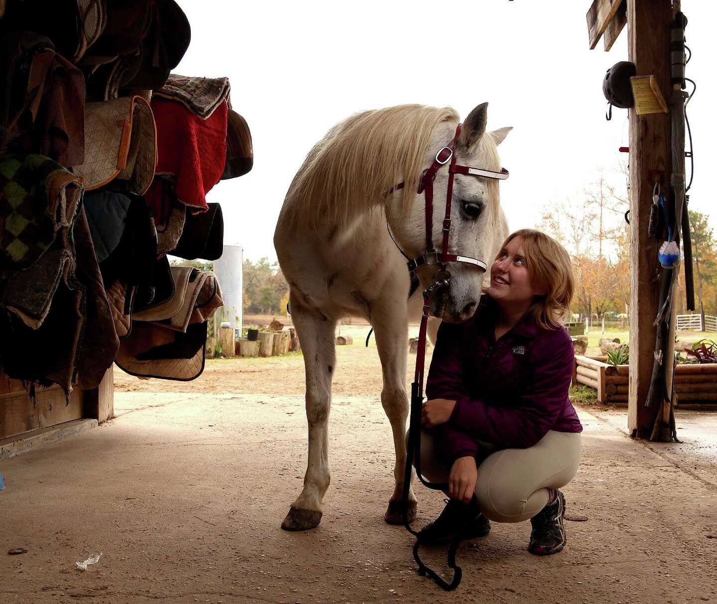 5 of the best places to go horseback riding near Houston
