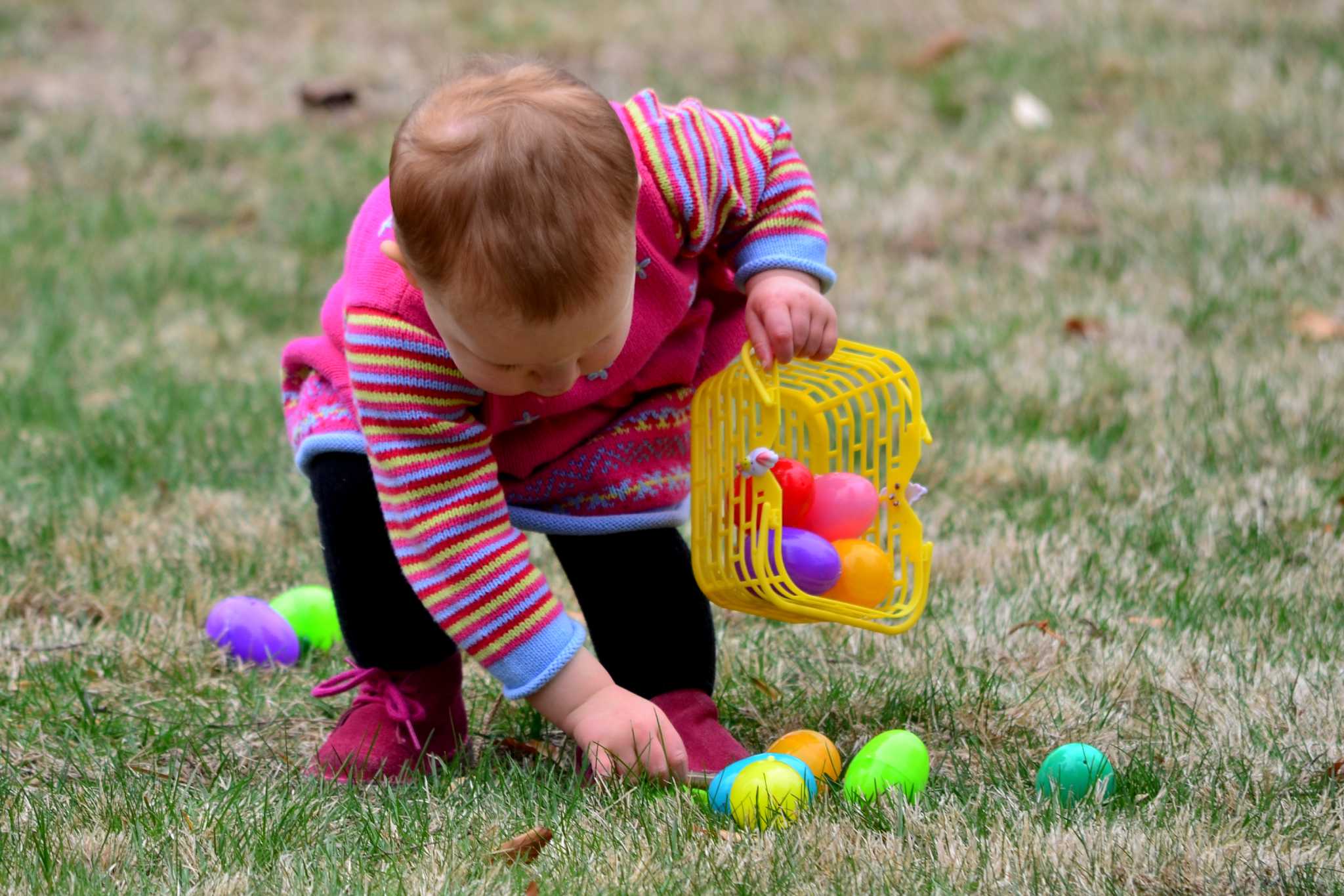 50 Things to do this weekend in Connecticut, April 3-5