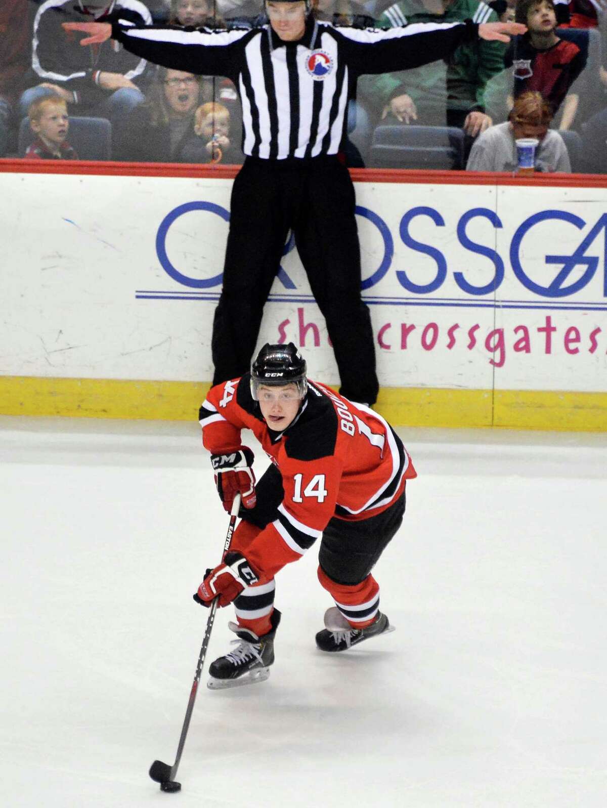 Albany Devils 2013-2014