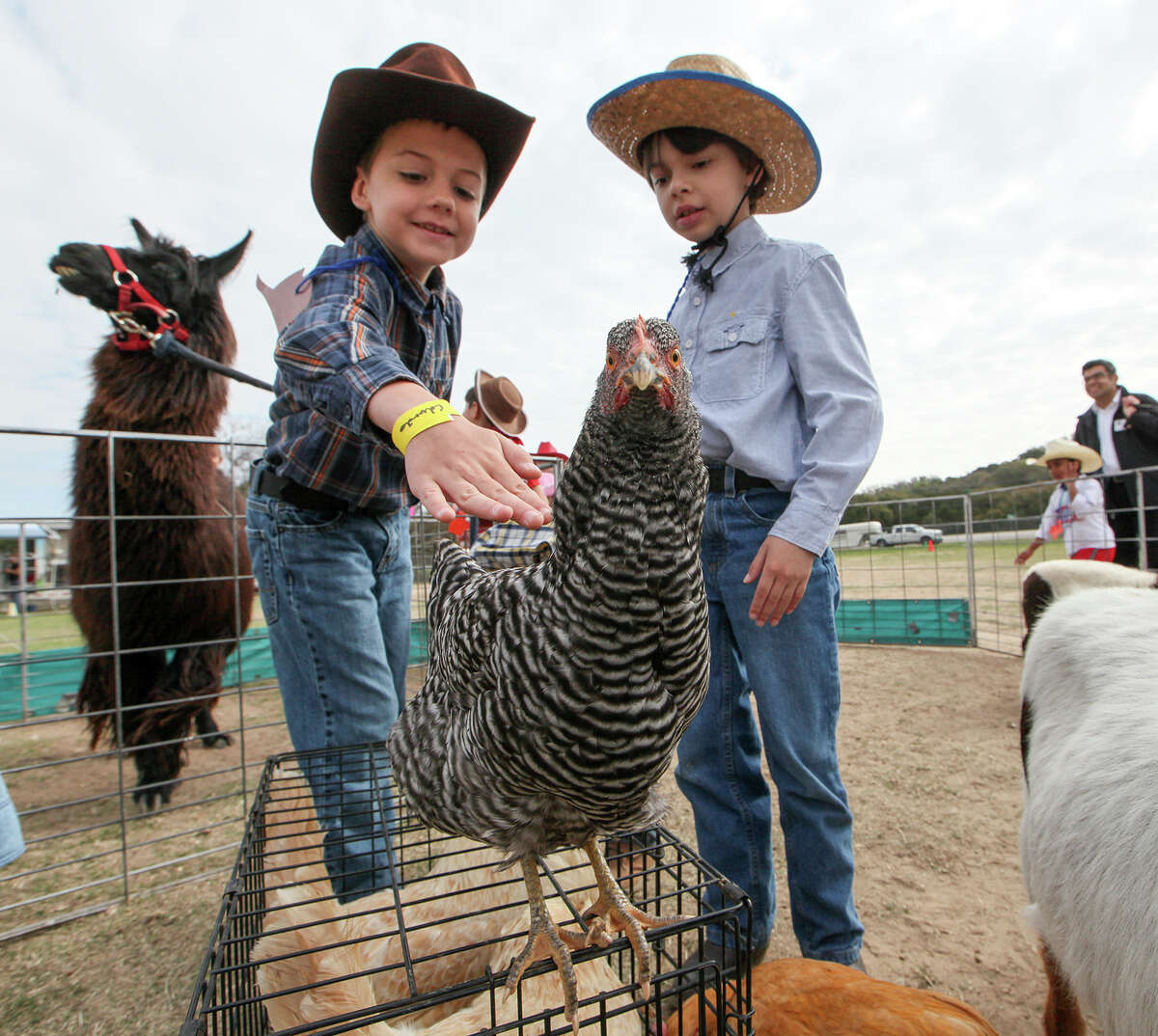 List ranks the top 100 elementary schools in San Antonio area