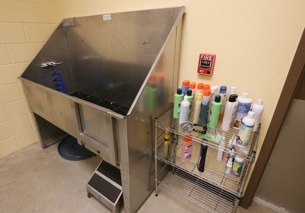 New Schertz animal adoption center provides better home for pets and strays