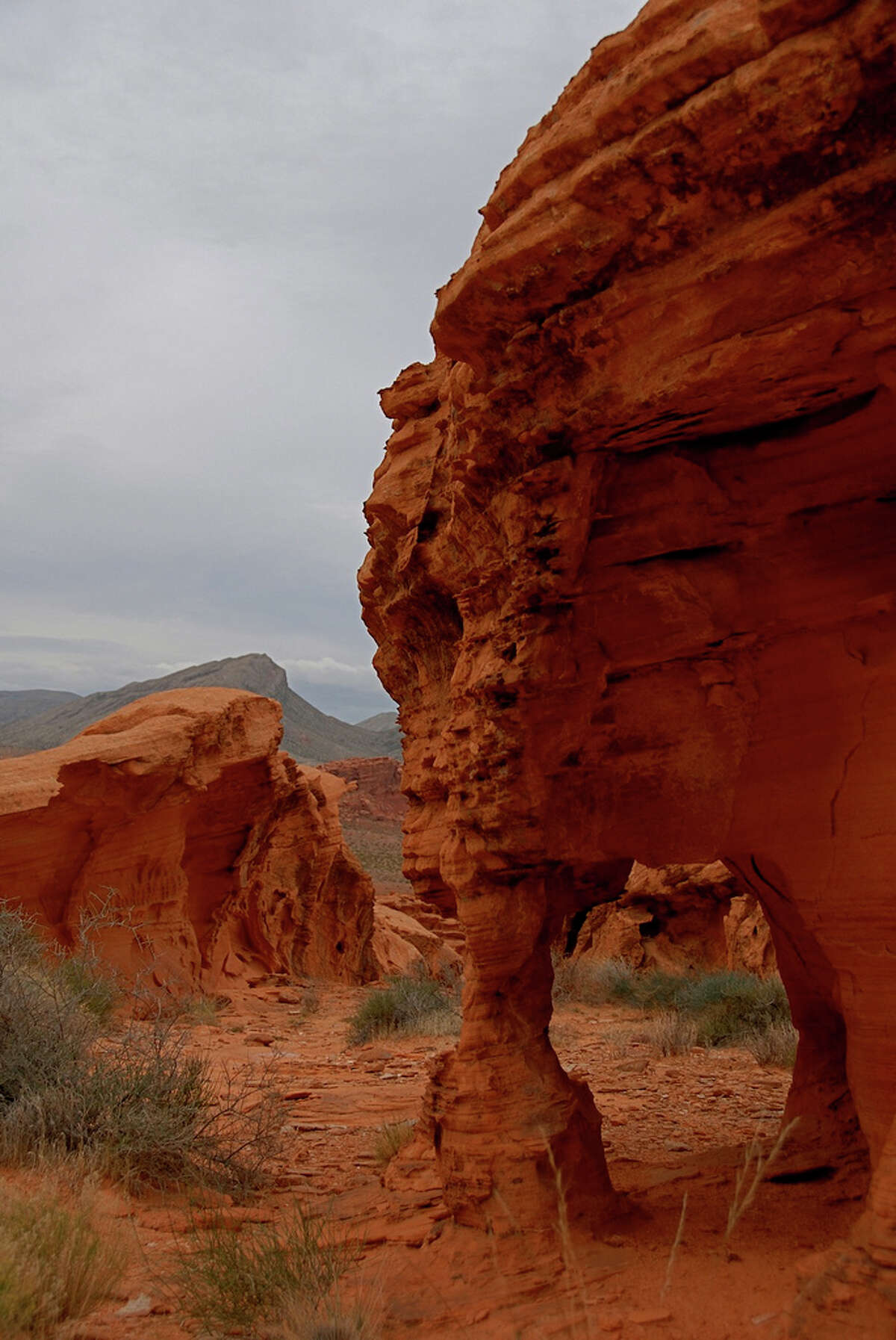 The Ghost Town of Gold Butte