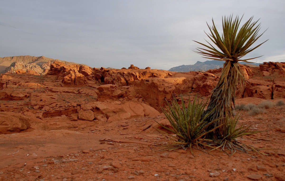 The Ghost Town of Gold Butte