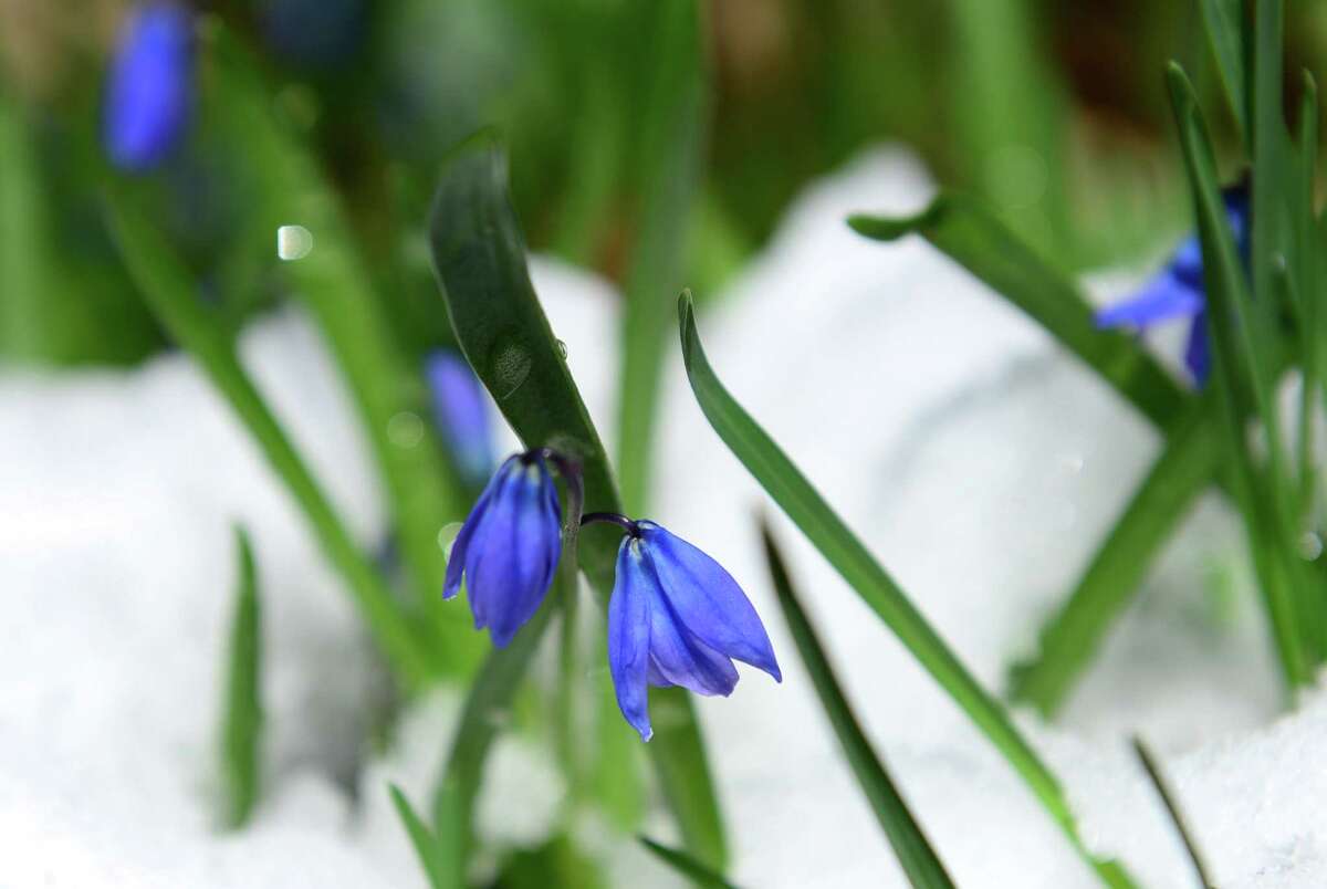 Snow and flooding means spring