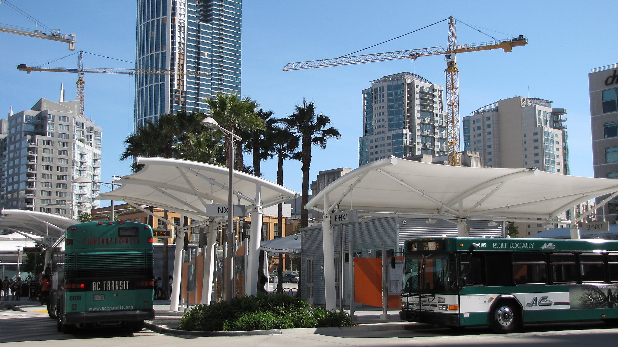 A temporary bus station, with palm trees