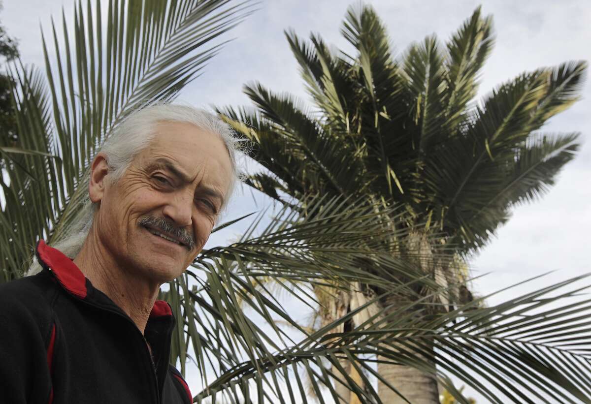 Artist planted seeds of palm garden in Mission District