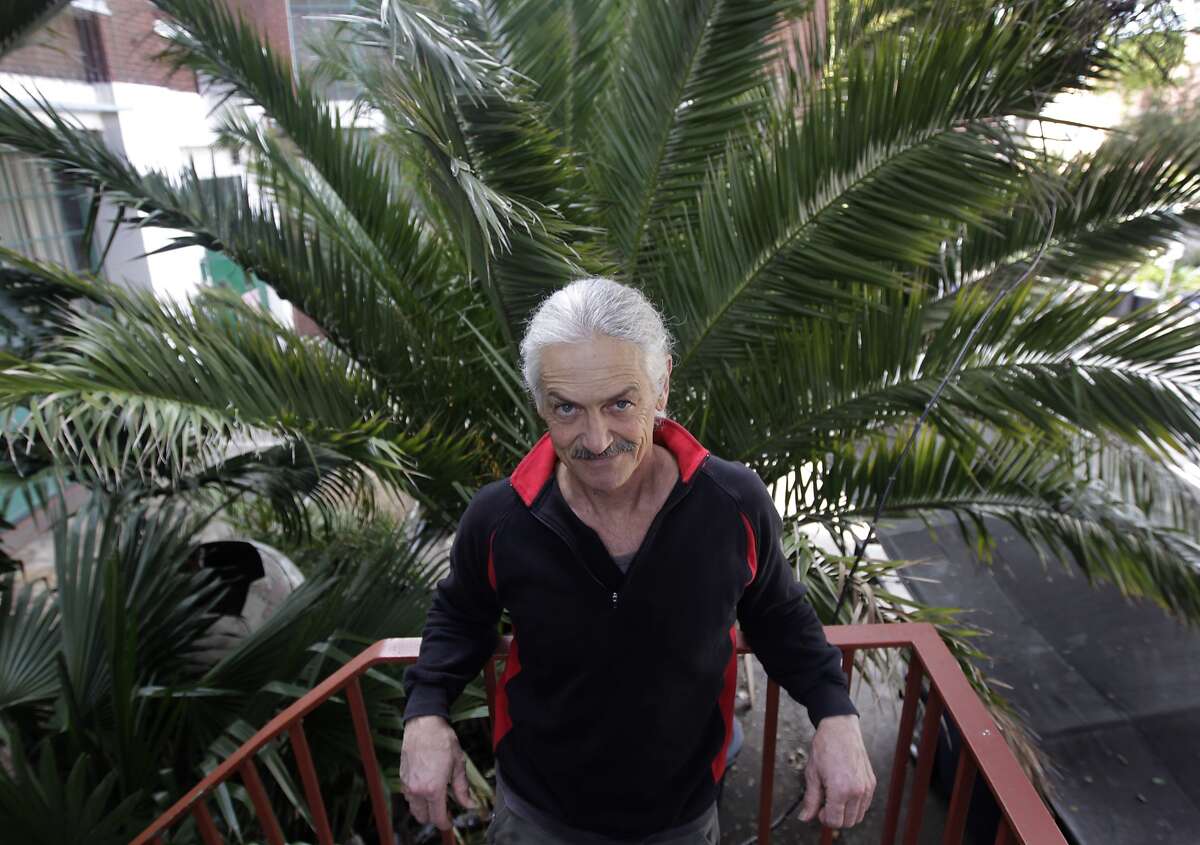 Artist planted seeds of palm garden in Mission District