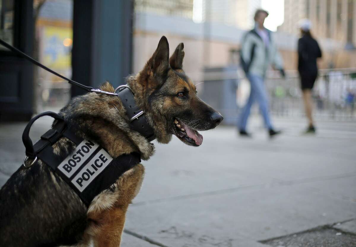 SE Texans cross finish line in Boston Marathon