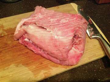 Florida fisherman may have record with 800 pound shark caught in Gulf