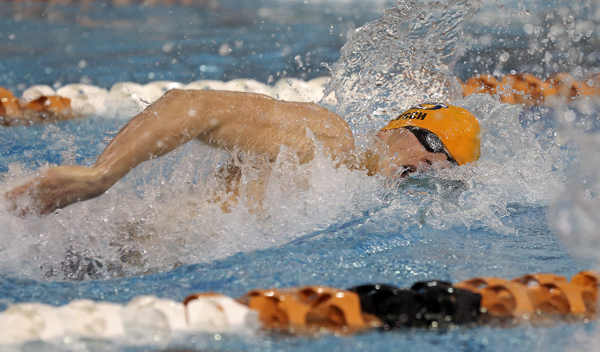 All-Area boys swimmer of year: Brandeis' Aaron Brysch