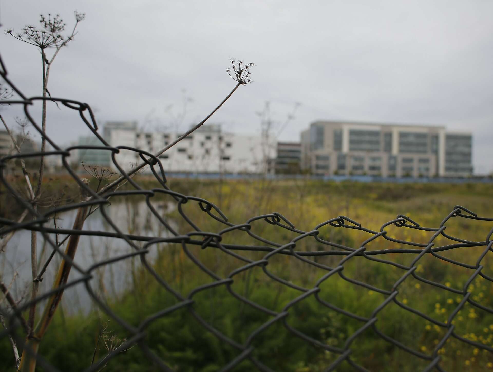 Warriors' new arena plan leaves future of Piers 30-32 hanging