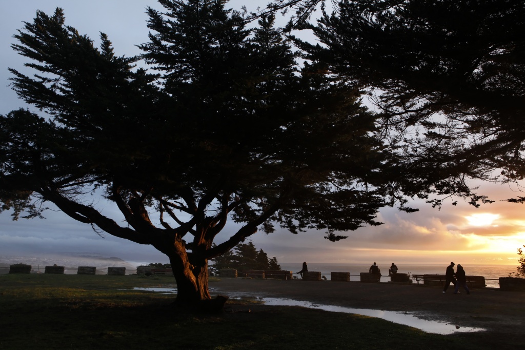 The best spring hikes in the Bay Area