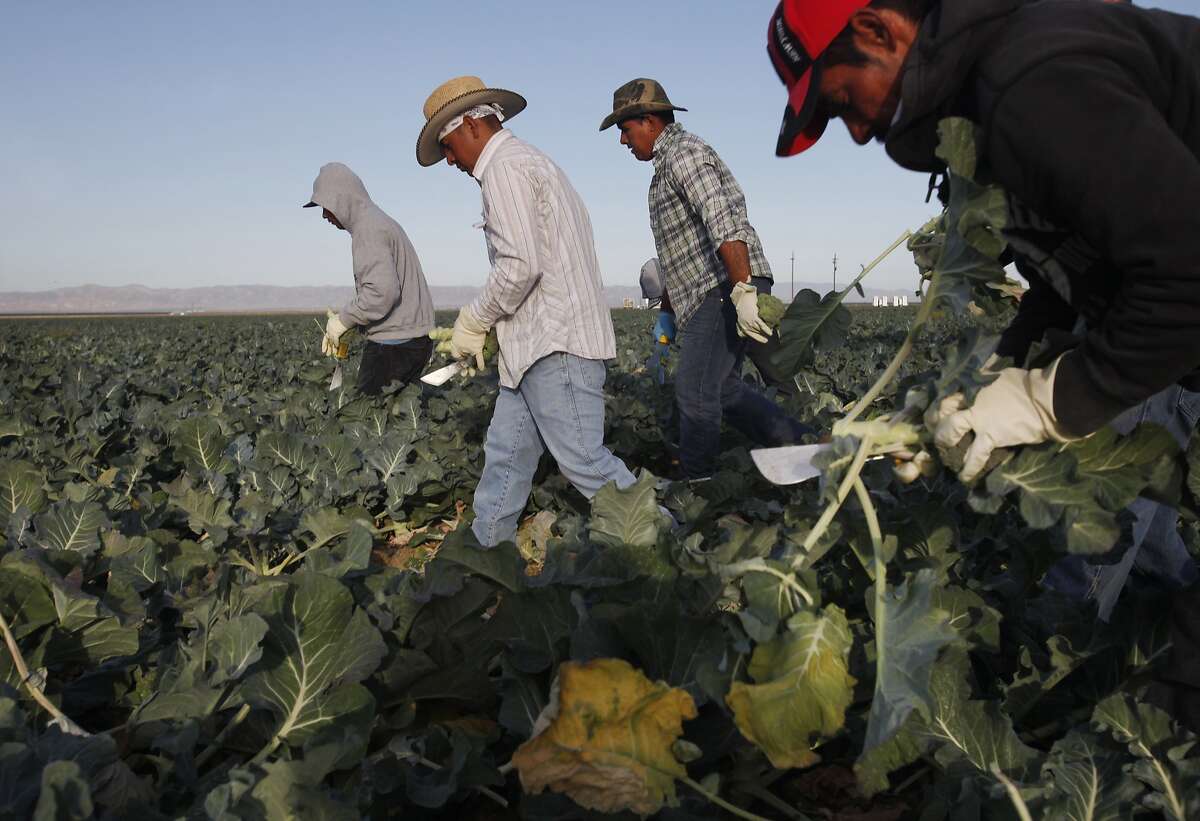 California drought: Jobs, money dry up in farm towns