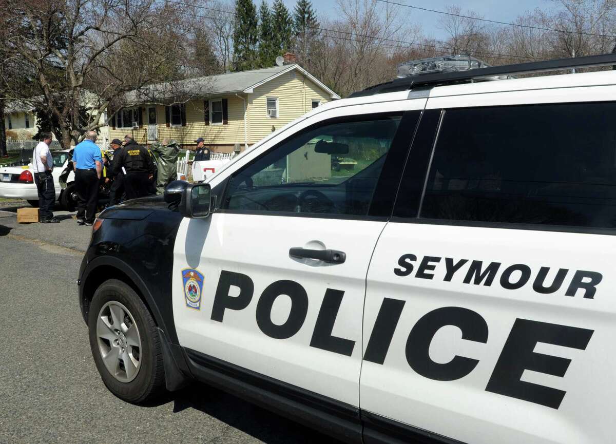 Accused Seymour captor posts bond