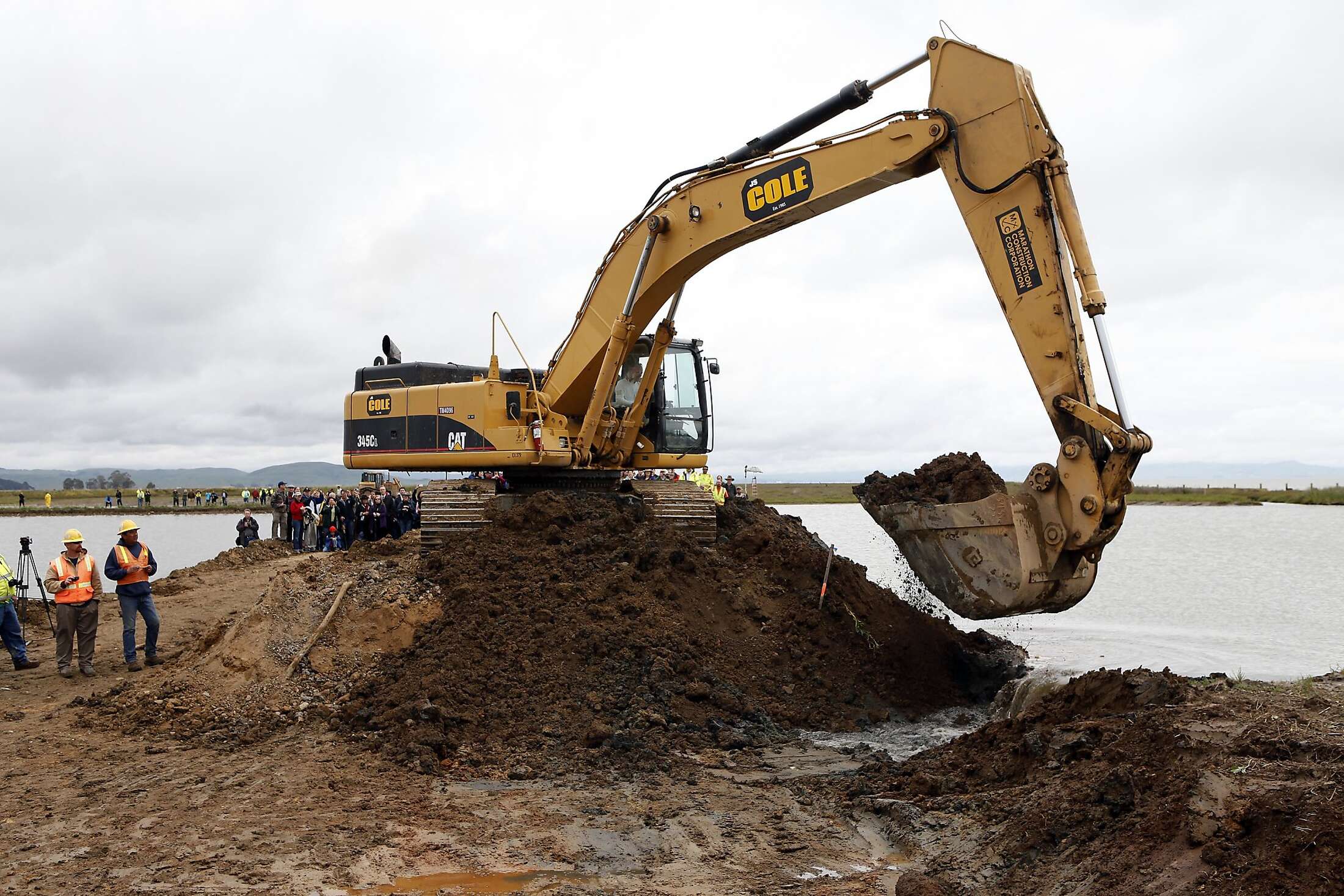 Marin County wetlands rise again in Hamilton airfield restoration