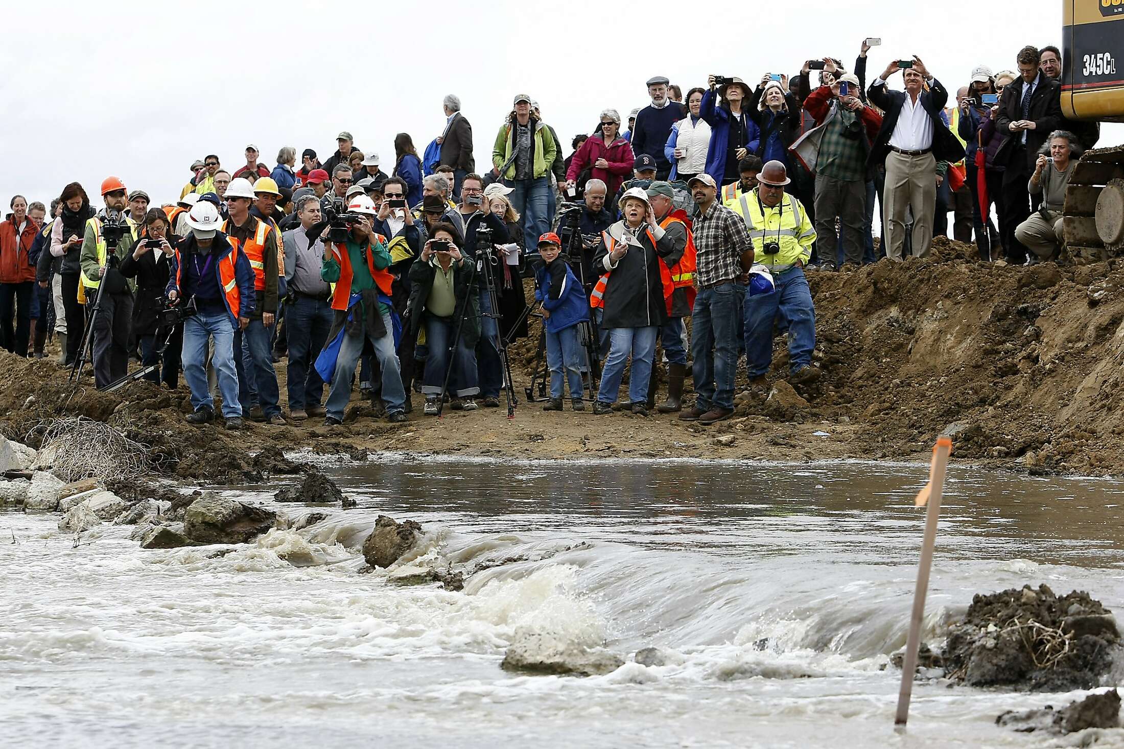 Marin County wetlands rise again in Hamilton airfield restoration