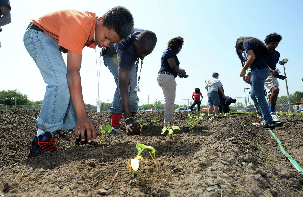 Why are so many Beaumont kids joining FFA?