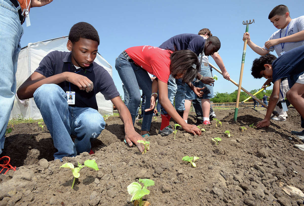 Why are so many Beaumont kids joining FFA?