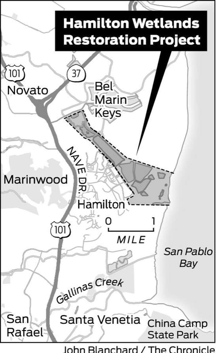 Marin County wetlands rise again in Hamilton airfield restoration