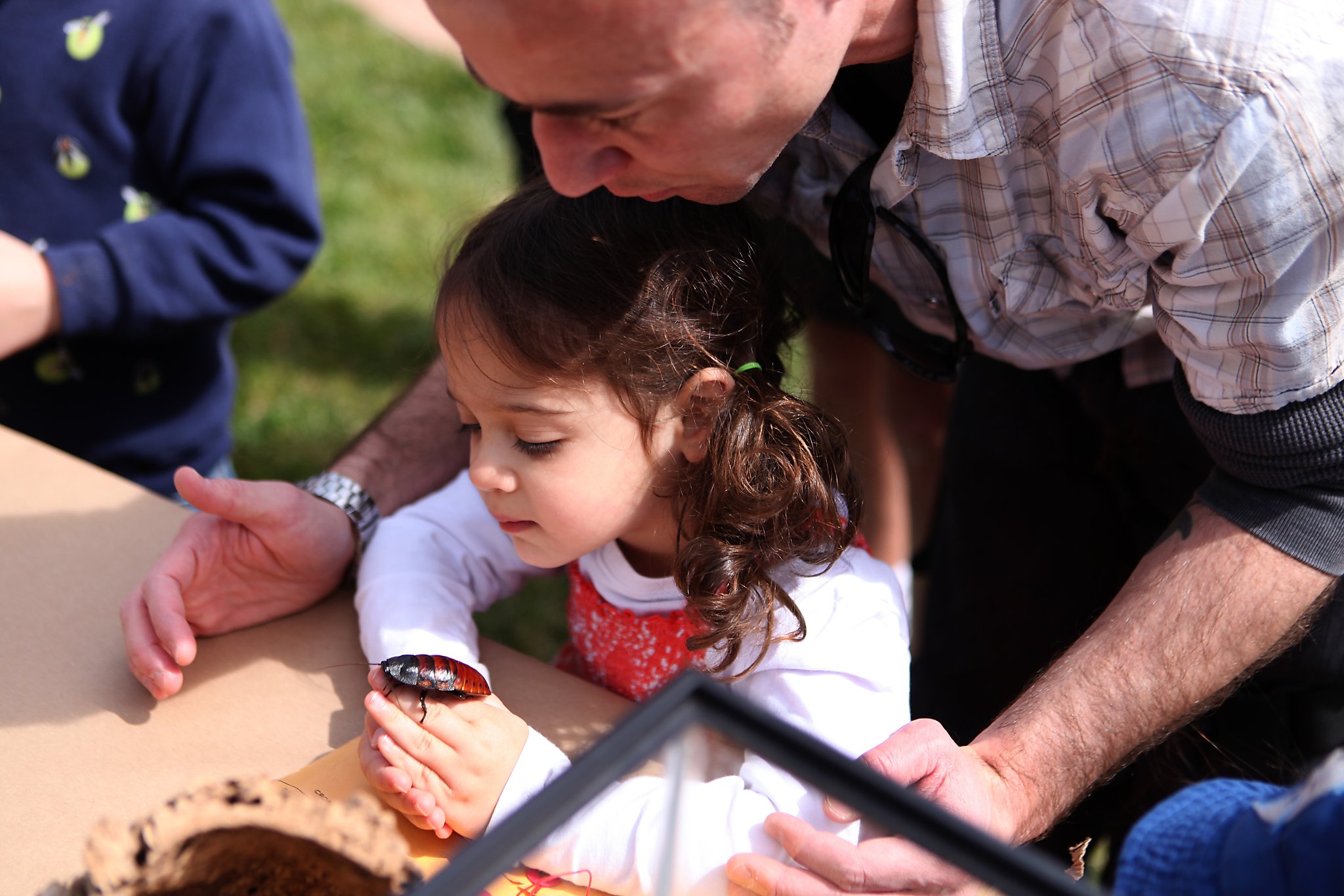 Kids abuzz with excitement at museum's Bug Day