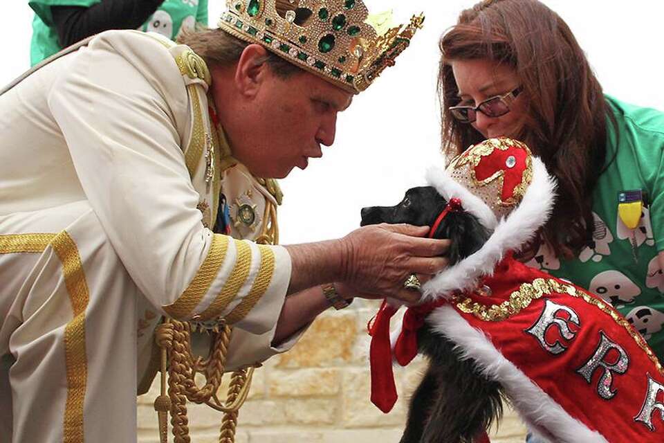 El Rey Fido over the years