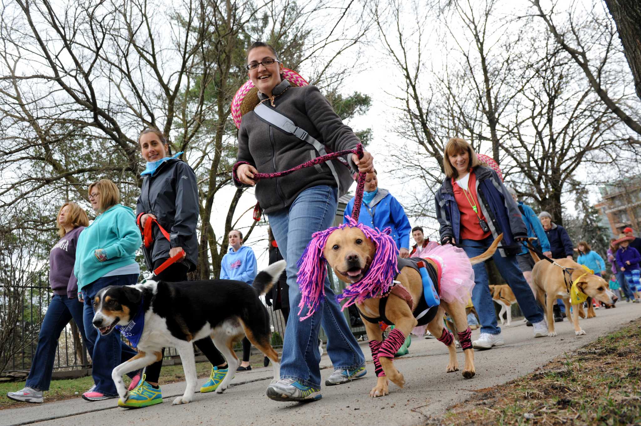 Photos: Walk for the Animals - Times Union