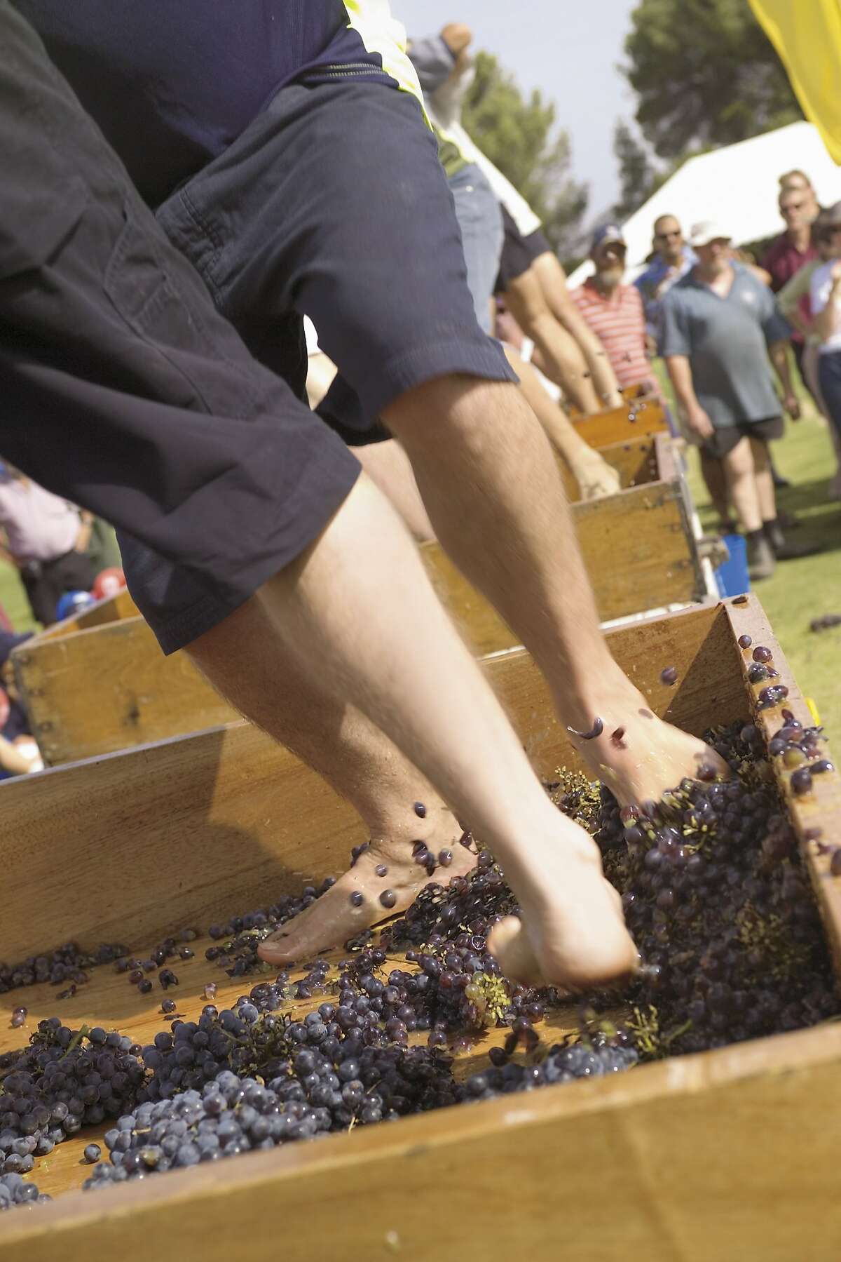 South Australia's Barossa Valley is a lot like Sonoma