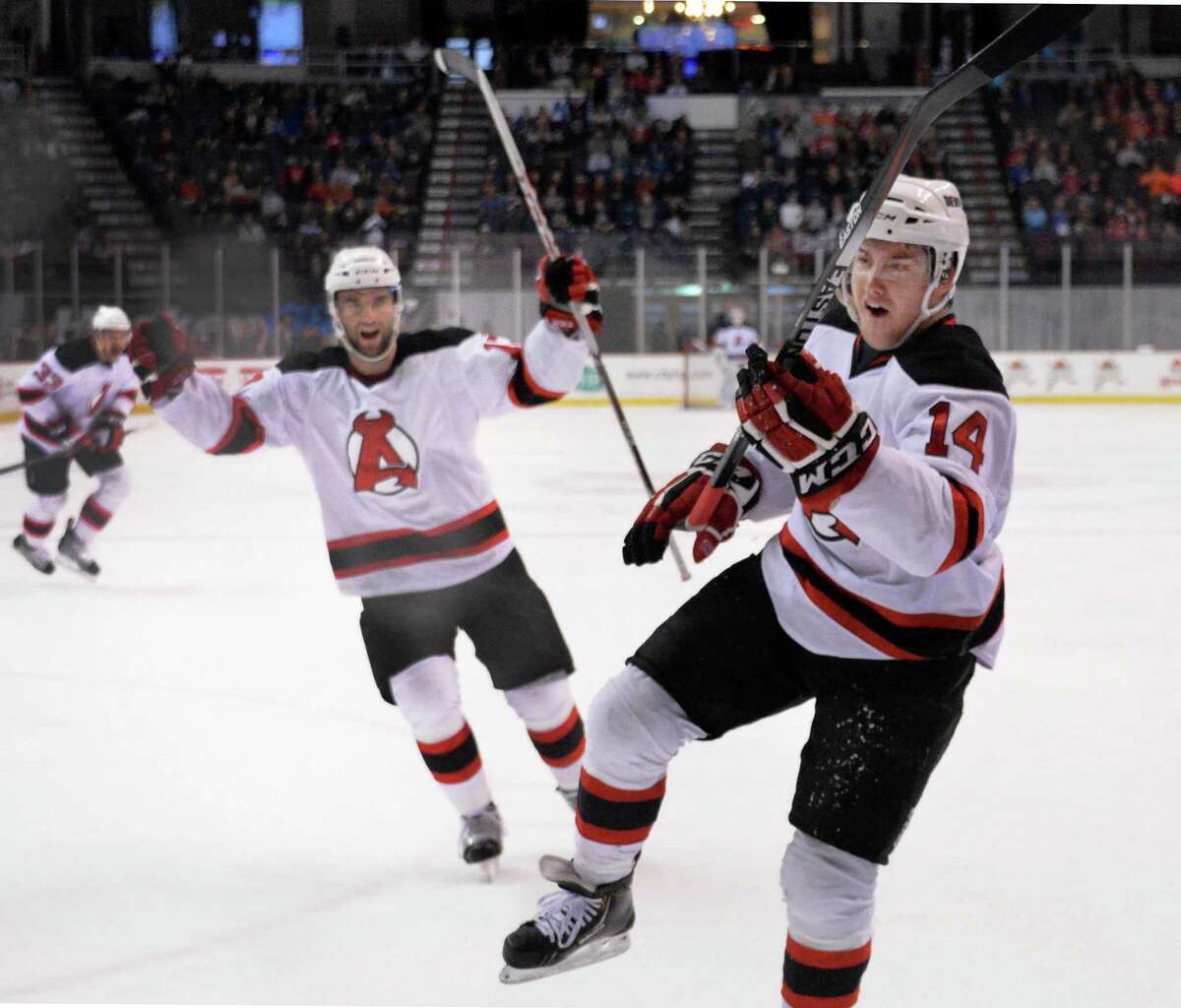 Albany Devils 2013-2014