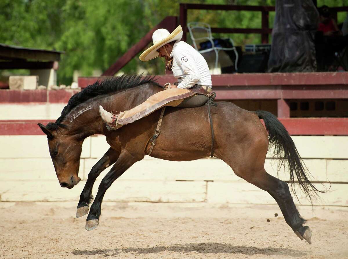 Extra-long Fiesta closes with Charreada, other events