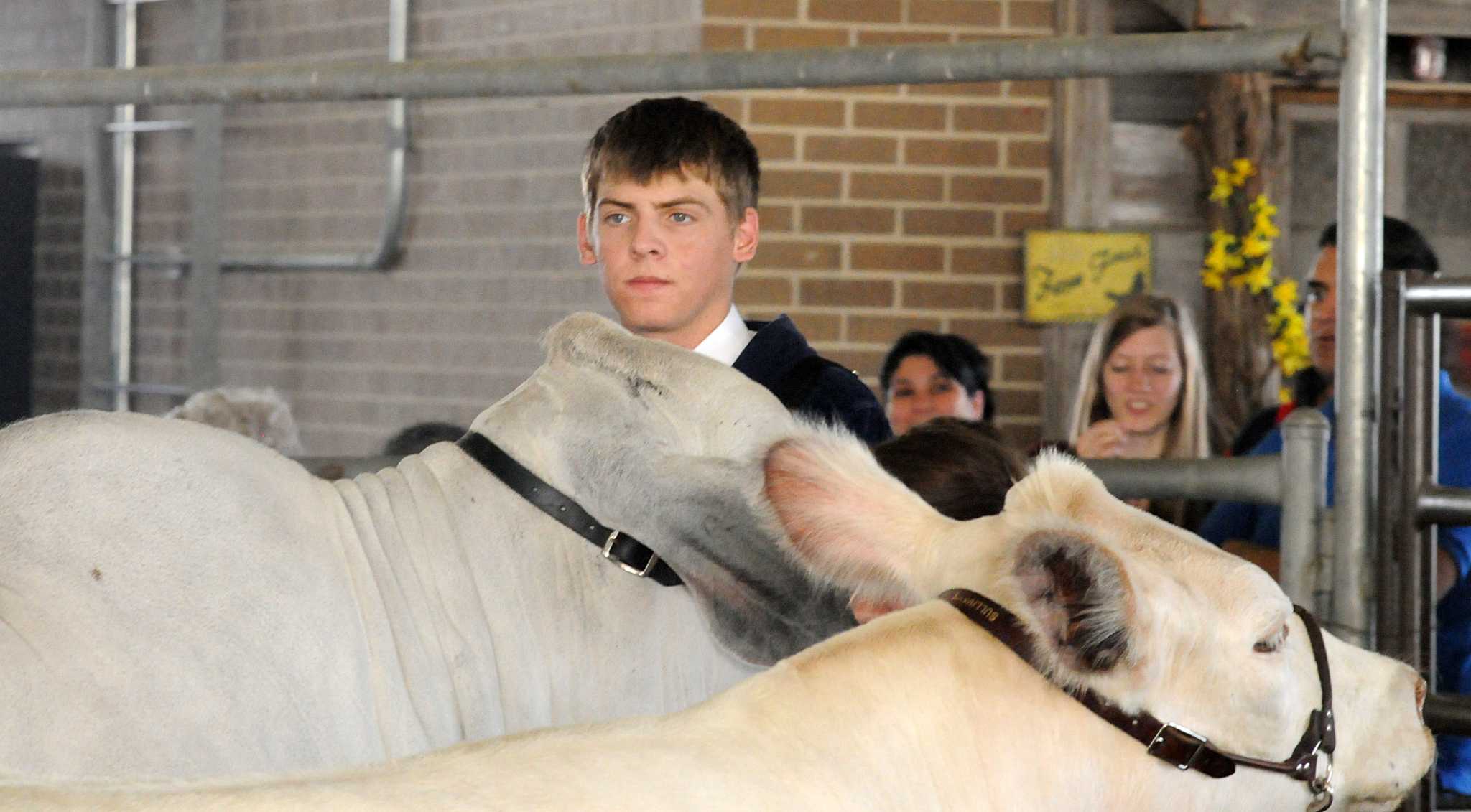 Spring ISD students learn about aspects of 4-H, FFA at annual livestock ...