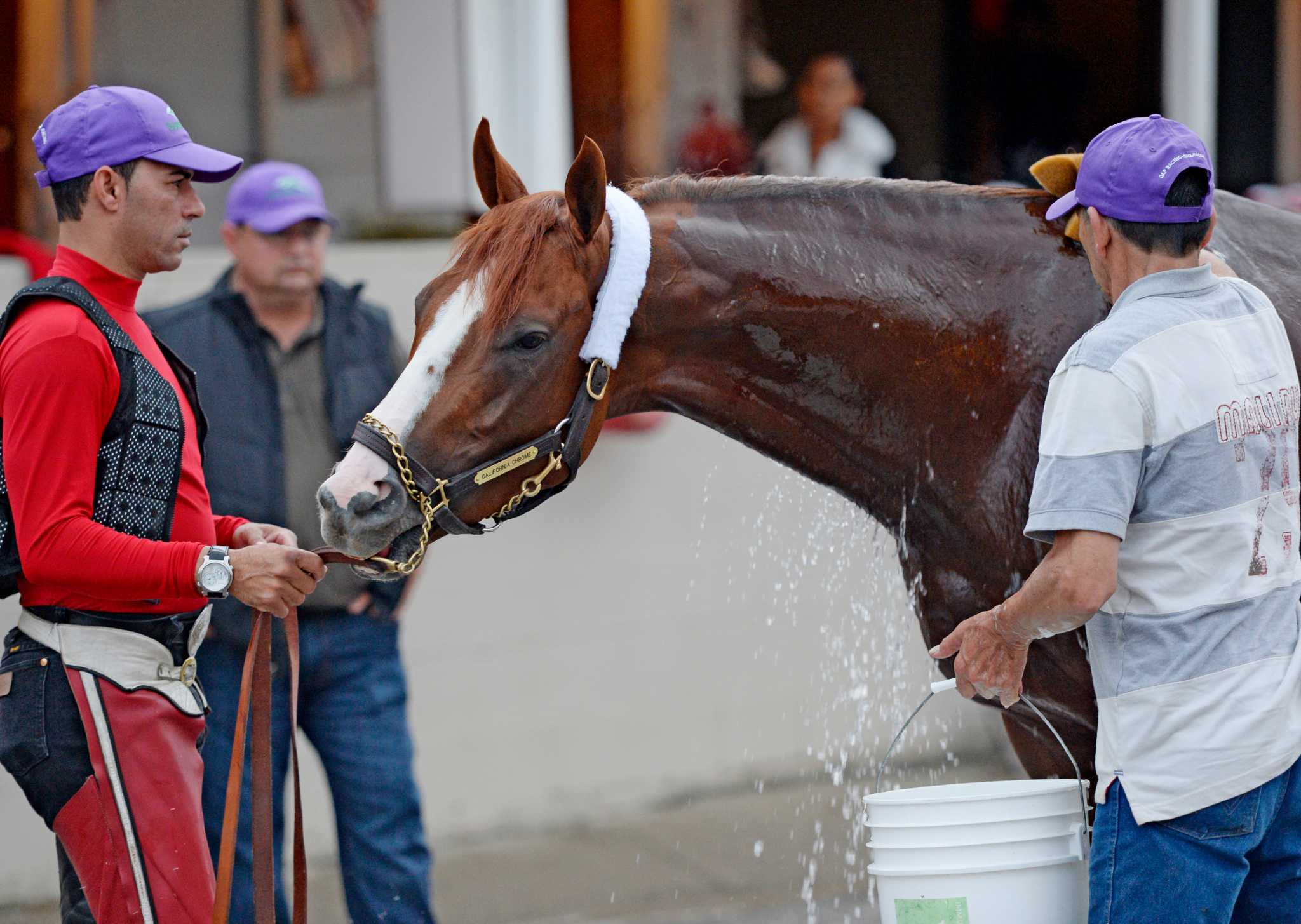 Western colt set to shine