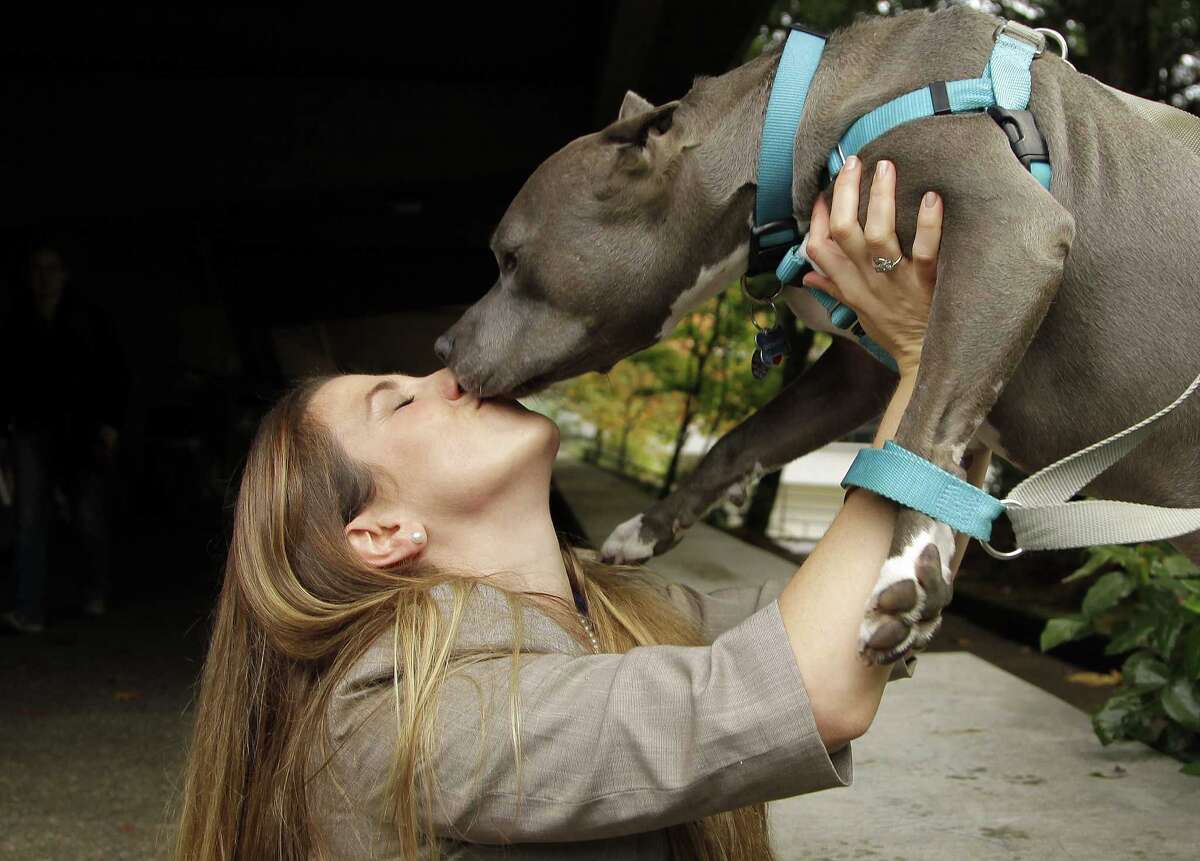 Seattle's top dog names - and assorted awesome ones