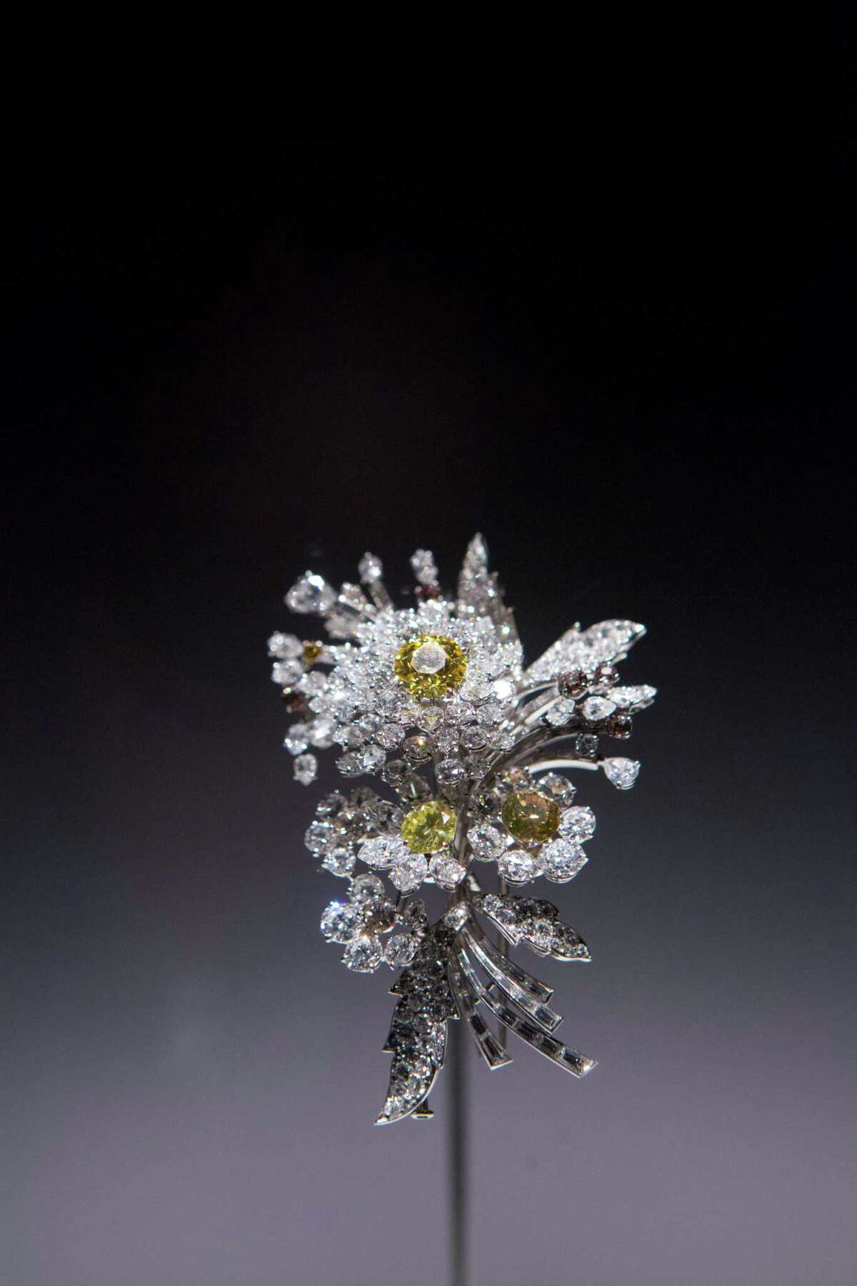 Bulgari celebrates 130 glamorous years at the Museum of Natural Science